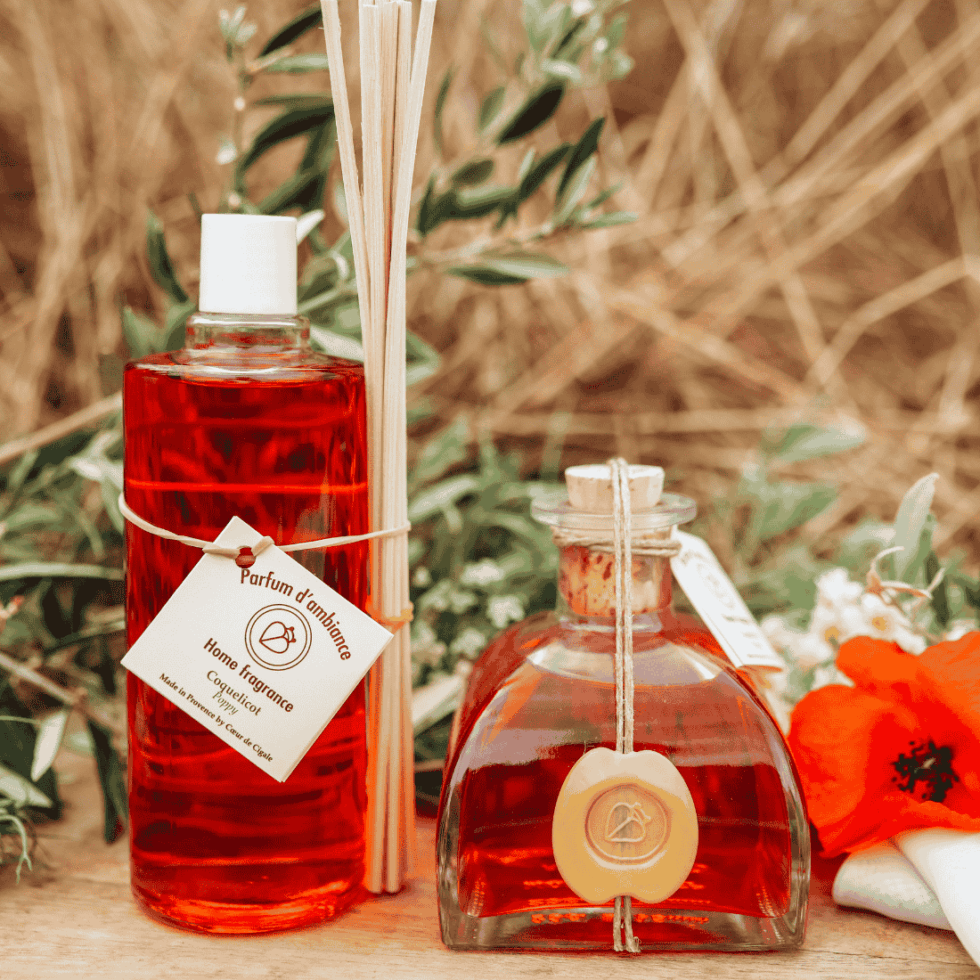 Recharges pour diffuseurs de parfums d'ambiance - Coeur de Cigale